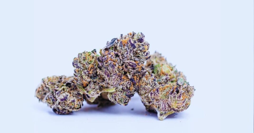 The Ultimate Guide To Rainbow Runtz Strain Effects - greenjungleboysvape